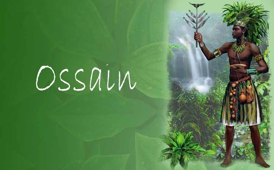 Ossain - Características e História do Orixá | iQuilibrio