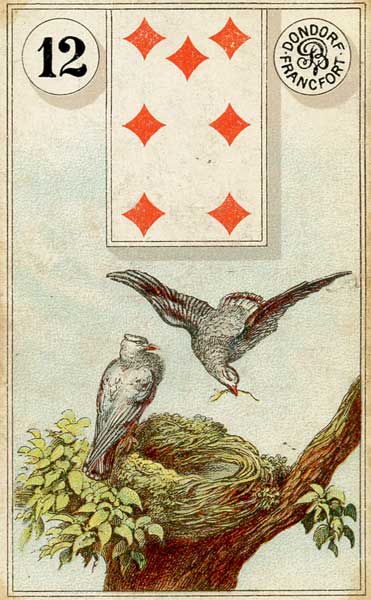 Os Pássaros Conheça Esta Carta Do Baralho Cigano Iquilibrio