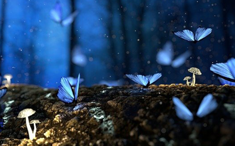 Elemento ar - Descubra esse poder da natureza agindo nos signos!