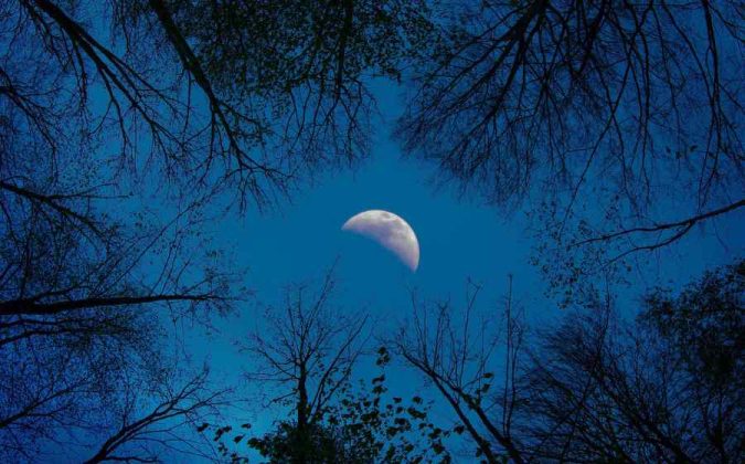 Fases da Lua 2023 - O poder da Lua para o seu ano novo