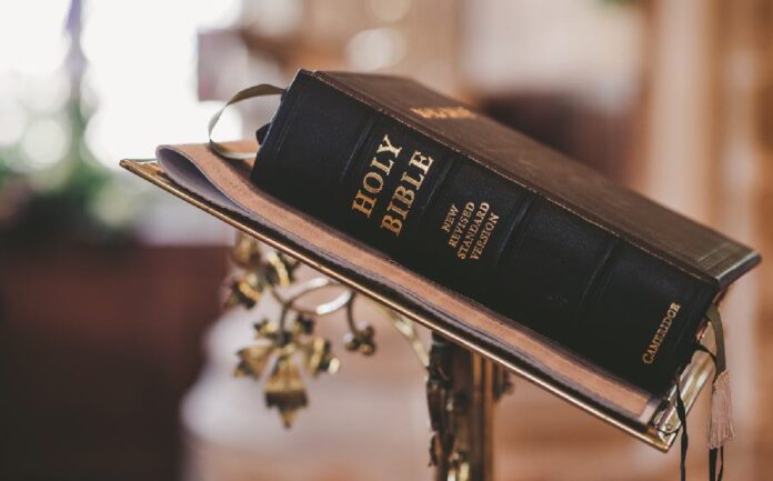 Reencarnações: entenda esse conceito na espiritualidade